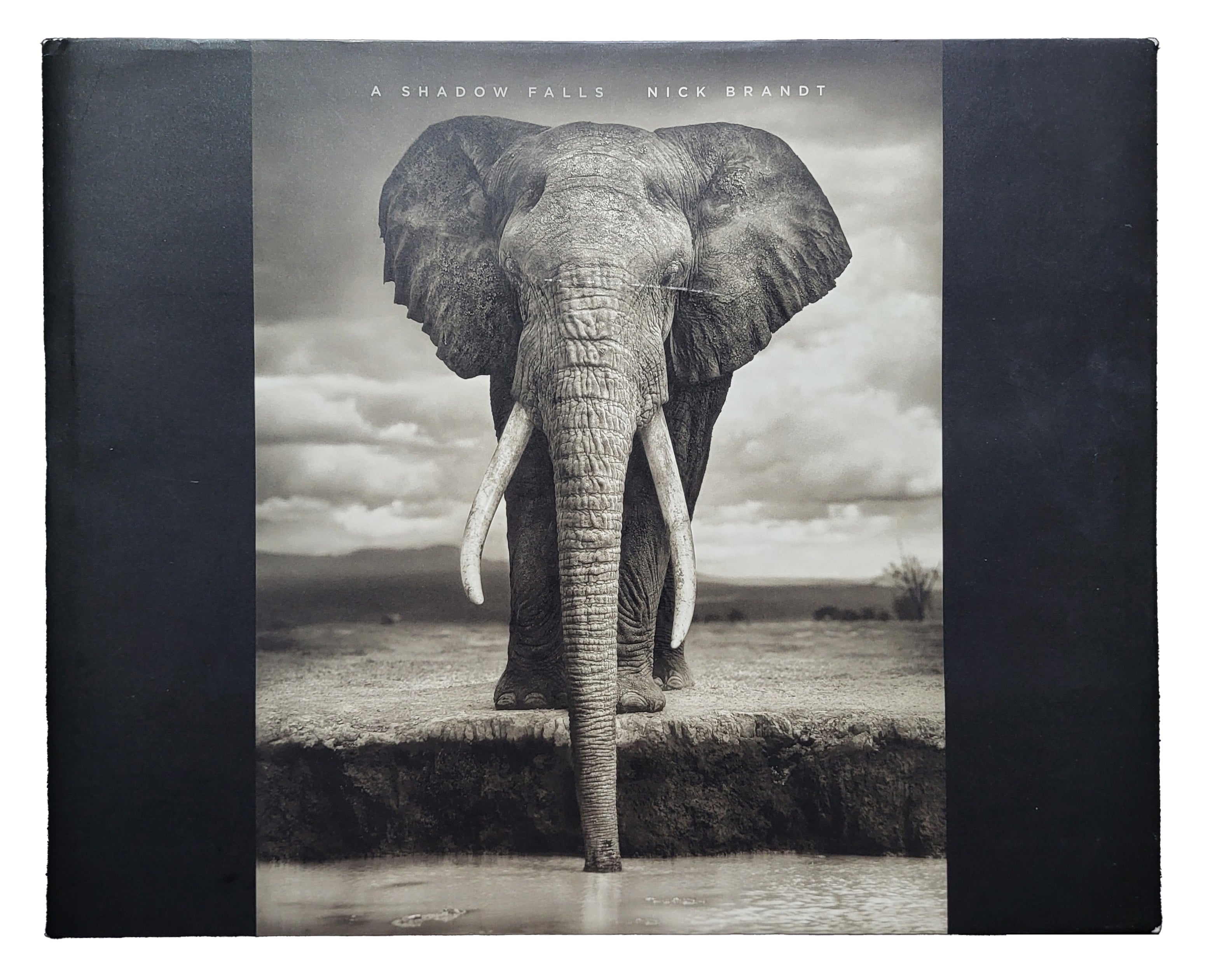 A Shadow Falls / Nick Brandt | hiponoz攝影書店