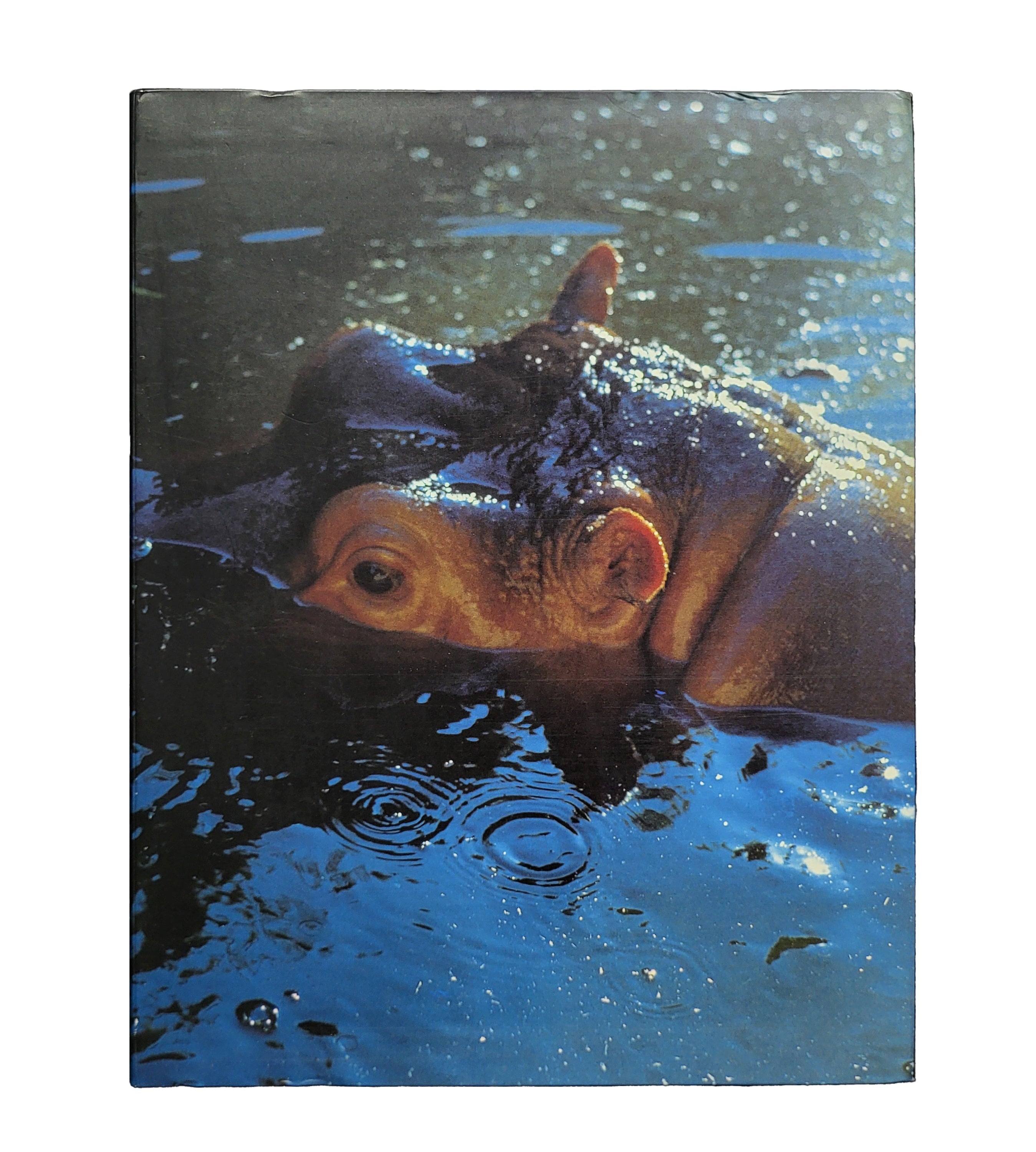 Visible World / Peter Fischli & David Weiss | hiponoz攝影書店