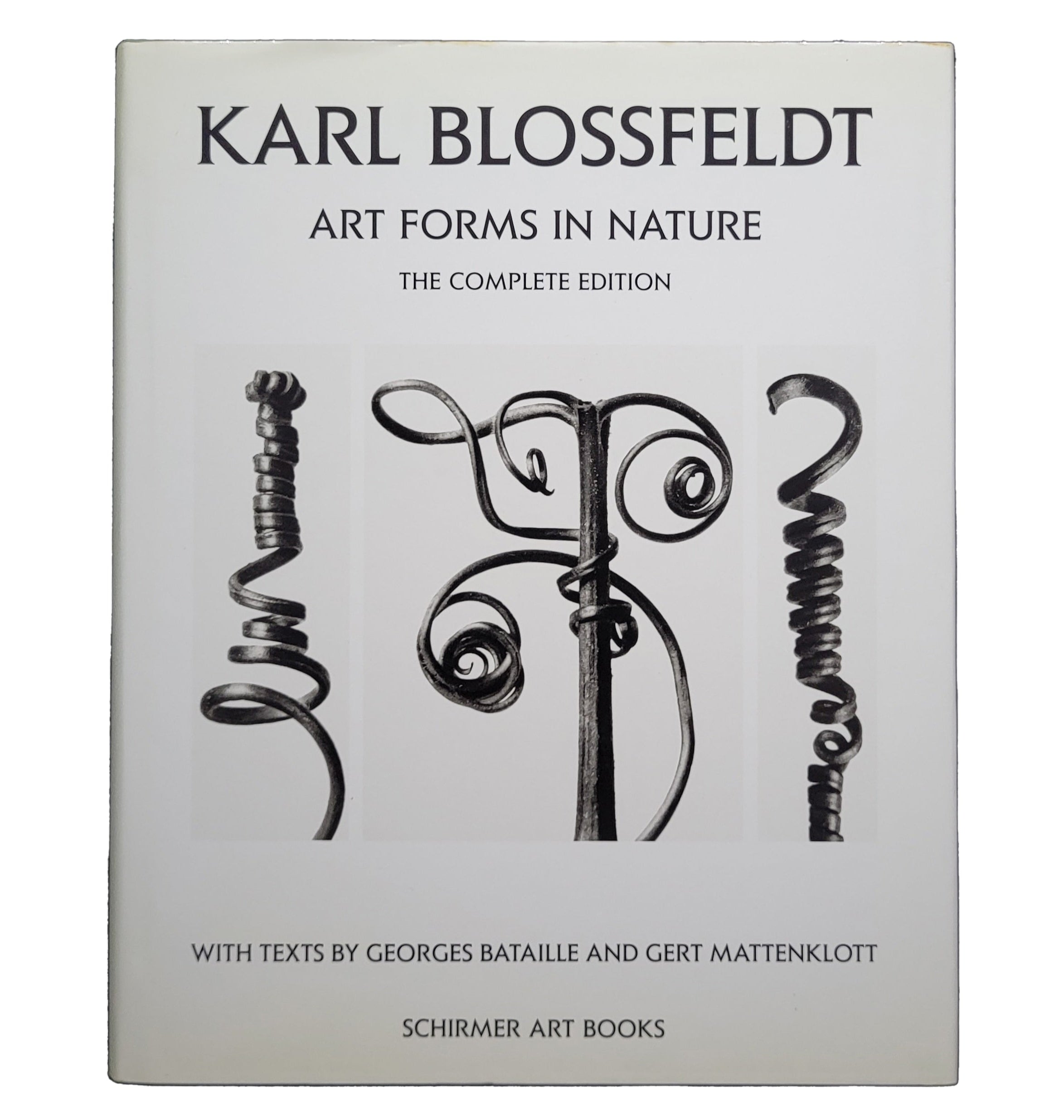 Art Forms in Nature / Karl Blossfeldt | hiponoz攝影書店